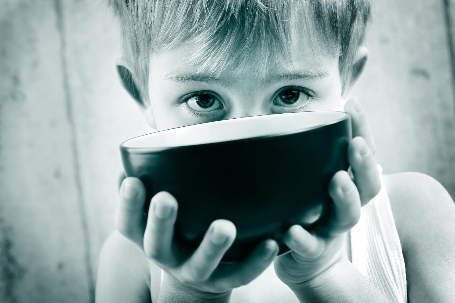 HVAC Service Repair & Installation Company - St Paul MN